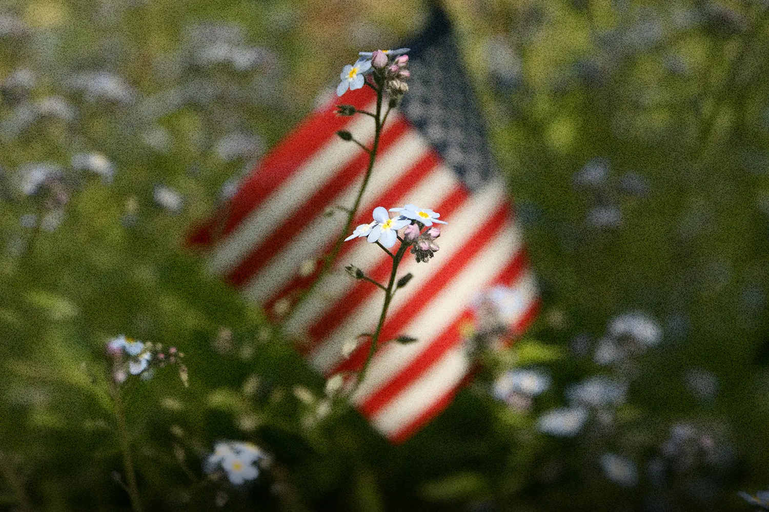 Simple Ways To Honor the Fallen This Memorial Day | Kenneth Copeland ...